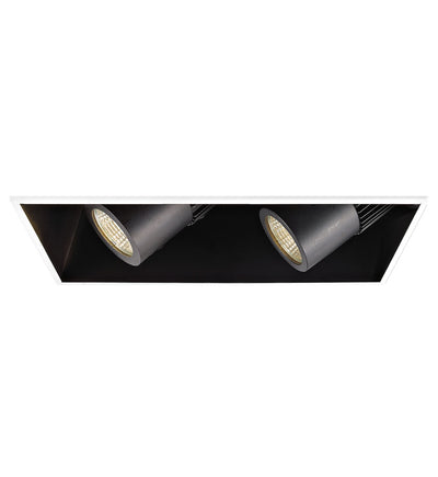WAC Lighting - MT-4LD216TL-WT - Invisible Trim 2 Light LED Precision M ...