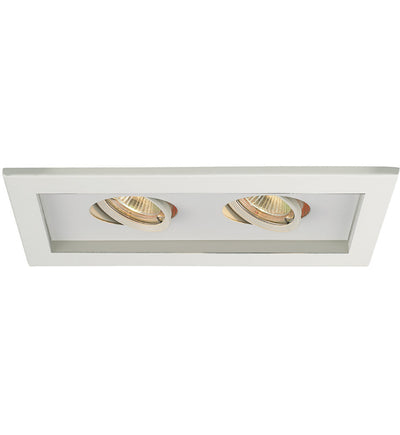 WAC Limited - WAC 2 Light Visible Low Voltage Multispot Recessed Trim ...
