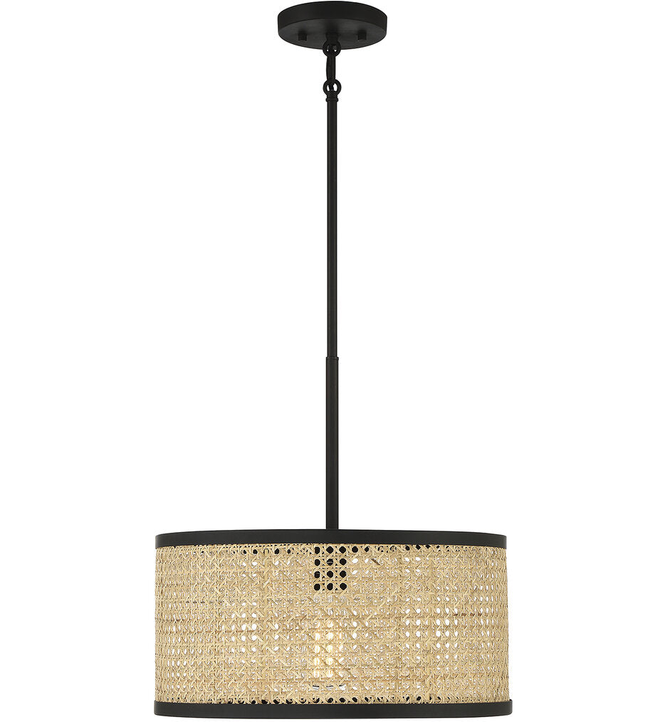 Meridian - M7018MBK - Meridian 16" Pendant – Lamps.com